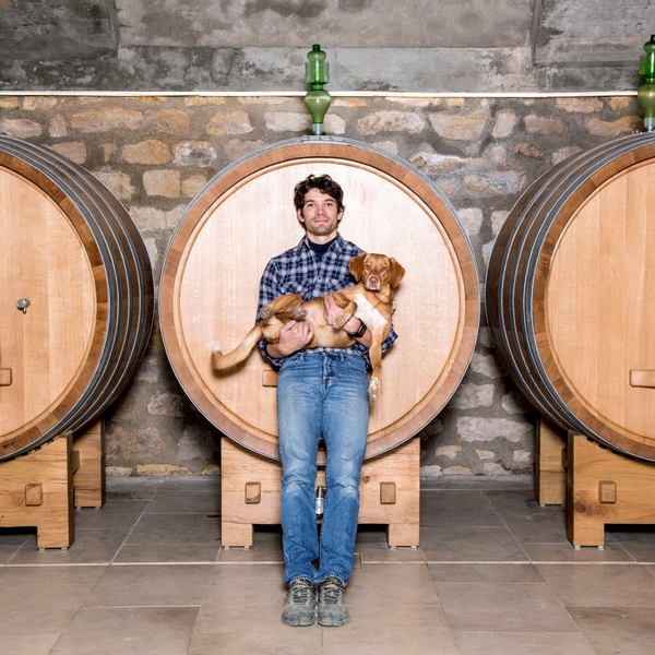 Discover Domaine Delaporte: A Legacy of Excellence in Sancerre - Bistro ...