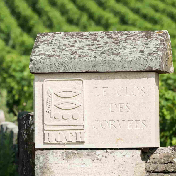 Domaine Prieuré Roch: Burgundy’s Hidden Jewel on Gaston’s Wine List ...